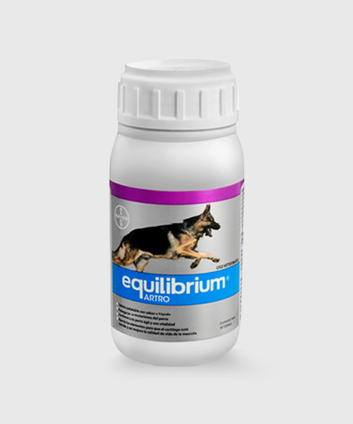 Suplemento Para Perros Equilibrium Artro - Articulaciones | Petphon.cl